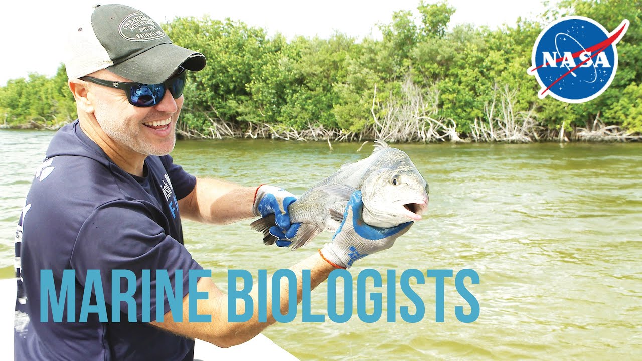 Surprisingly STEM: Marine Biologists | NASA+
